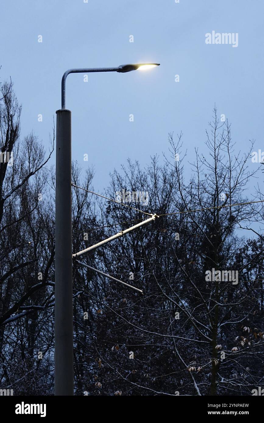 Street lighting, late autumn, Germany, Europe Stock Photo - Alamy