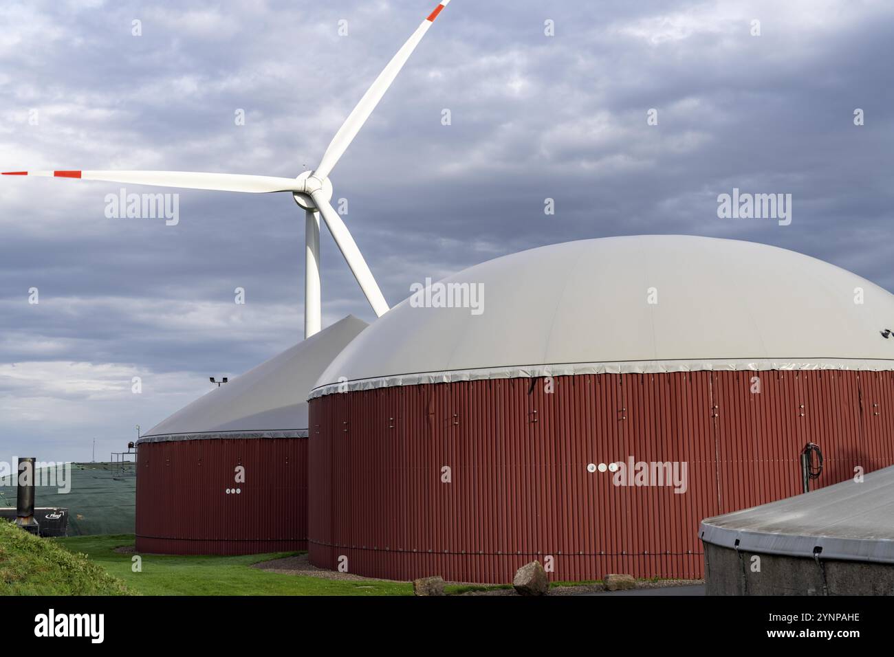 Biogas plant produces gas from various biomass, electricity is ...