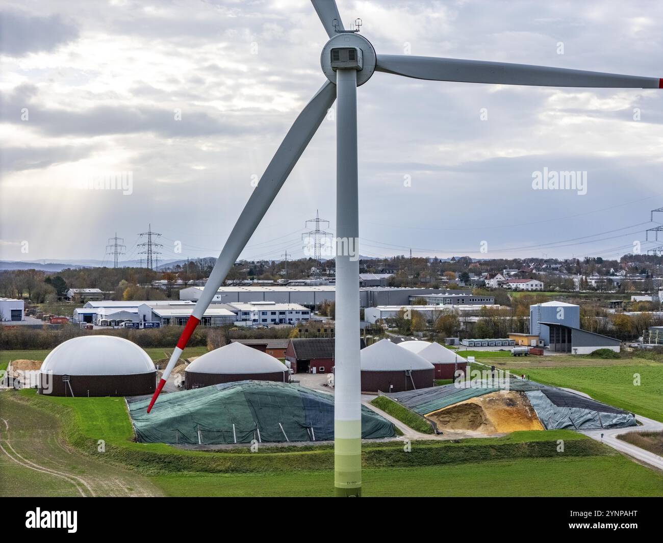 Biogas plant produces gas from various biomass, electricity is ...