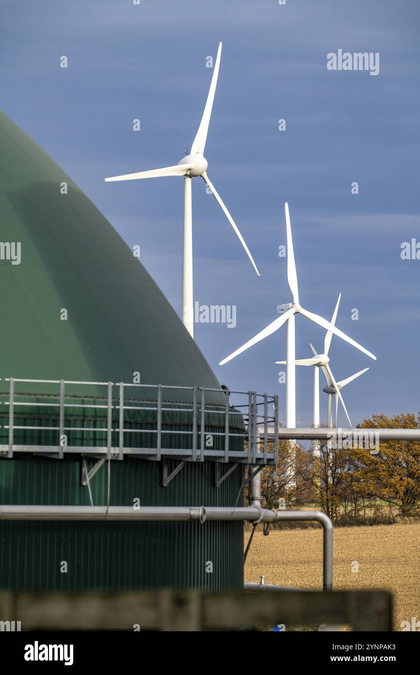 Biogas plant, the gas is produced from various biomass, including waste ...