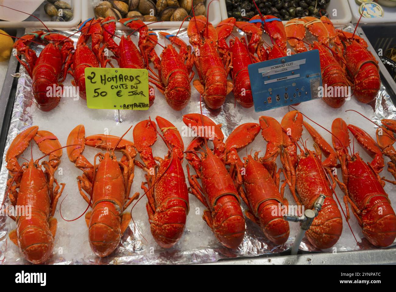 Red lobsters on a market display, price tags visible, fish market ...