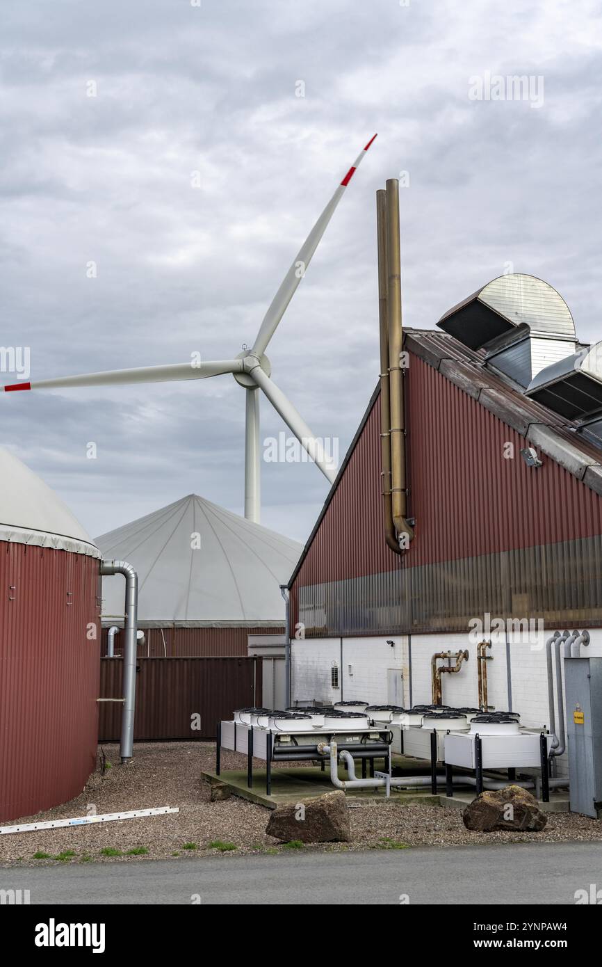 Biogas plant produces gas from various biomass, electricity is ...