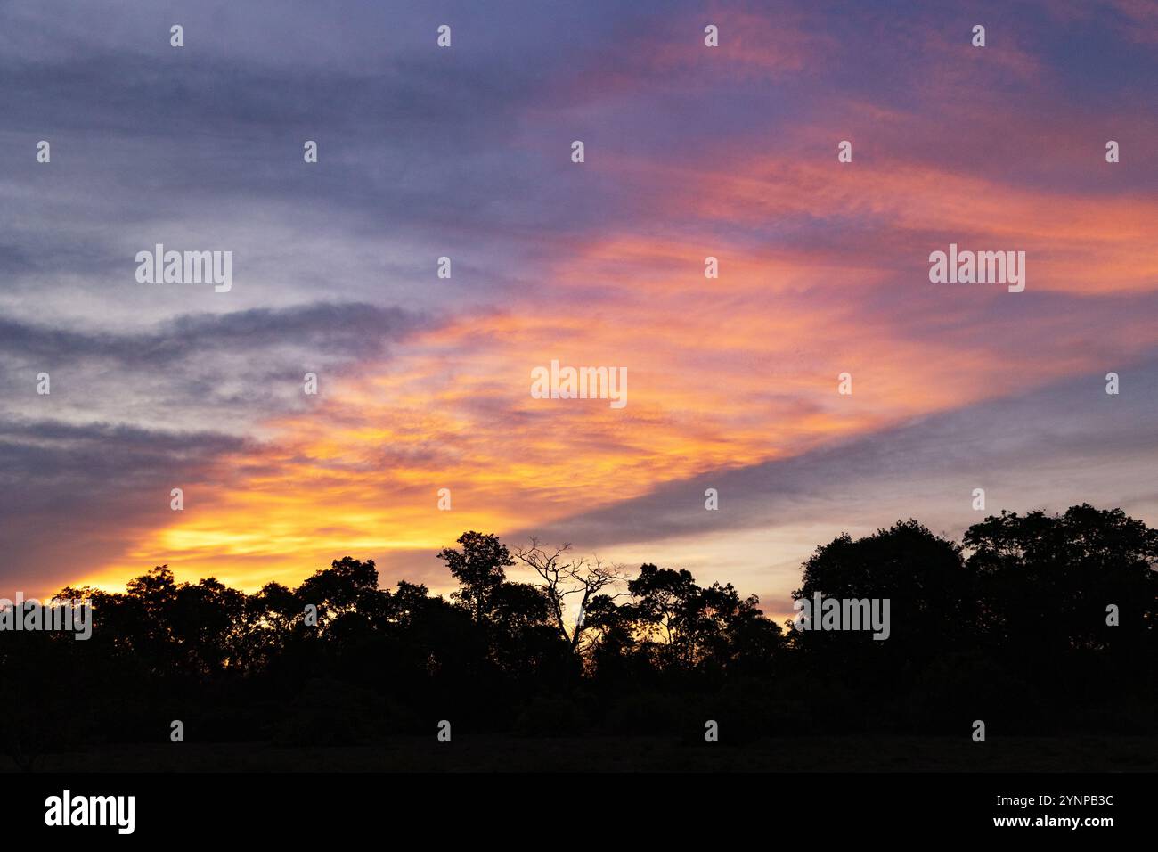 Sunset, the Pantanal, Brazil. A beam of sunlight at dusk making a ...