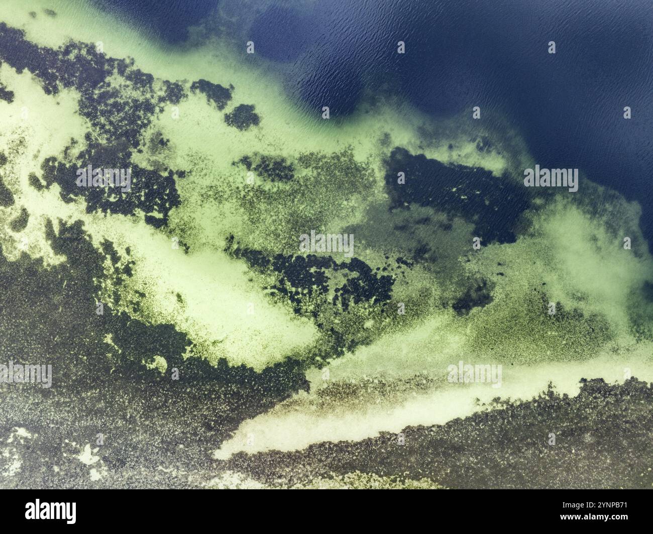 Aerial photograph, top-down view of an abruptly sloping shallow water ...