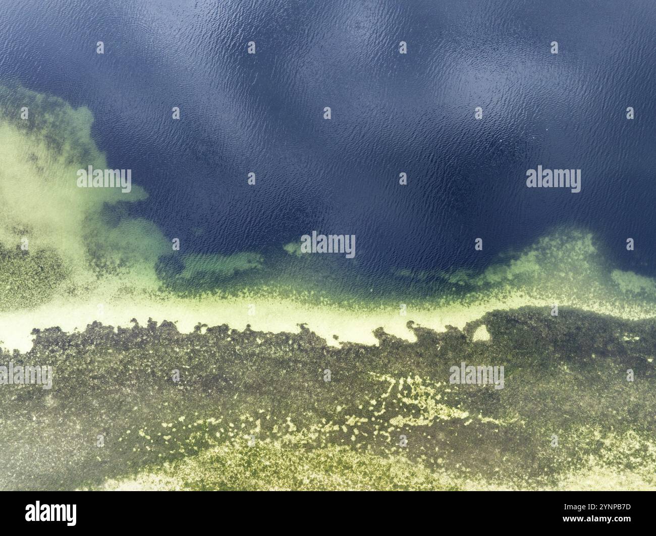 Aerial photograph, top-down view of an abruptly sloping shallow water ...