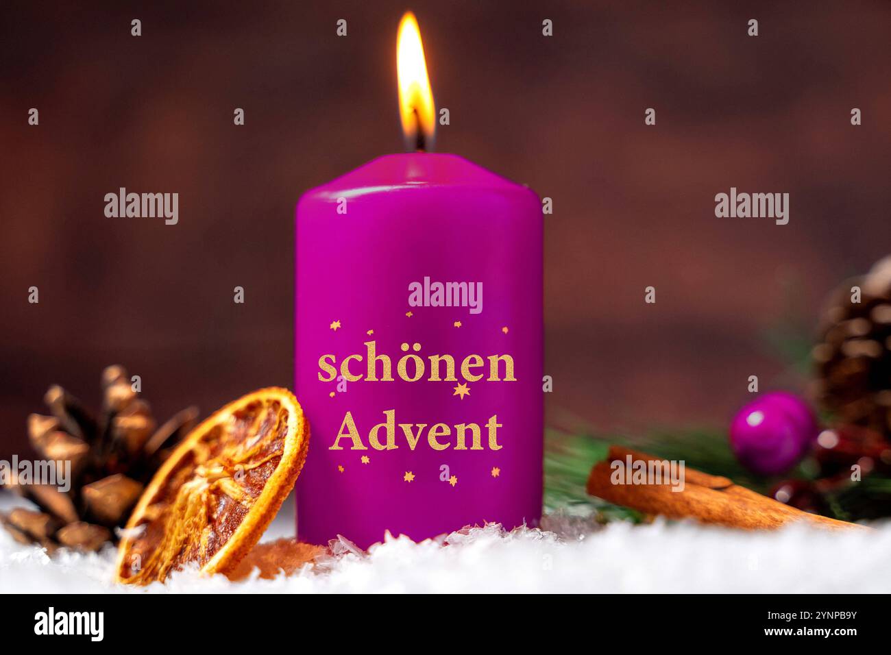 Lila zapfen hi-res stock photography and images - Alamy