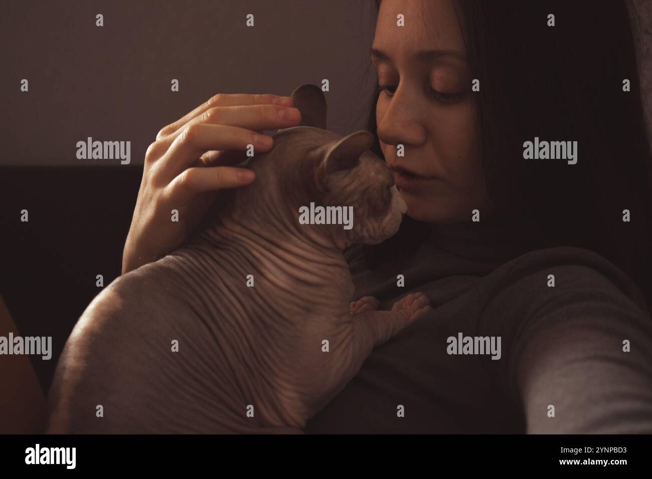 Aesthetic photo of a hairless cat and young woman petting it. Girl ...