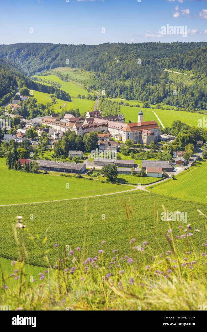 Archabbey of St Martin at Beuron (lat. Archiabbatia Sancti Martini ...
