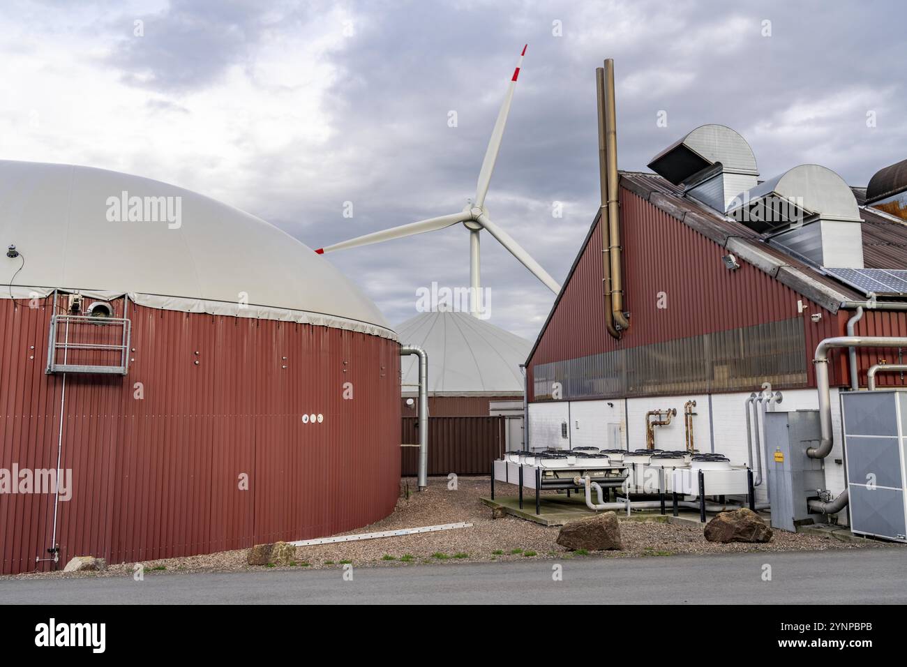 Biogas plant produces gas from various biomass, electricity is ...