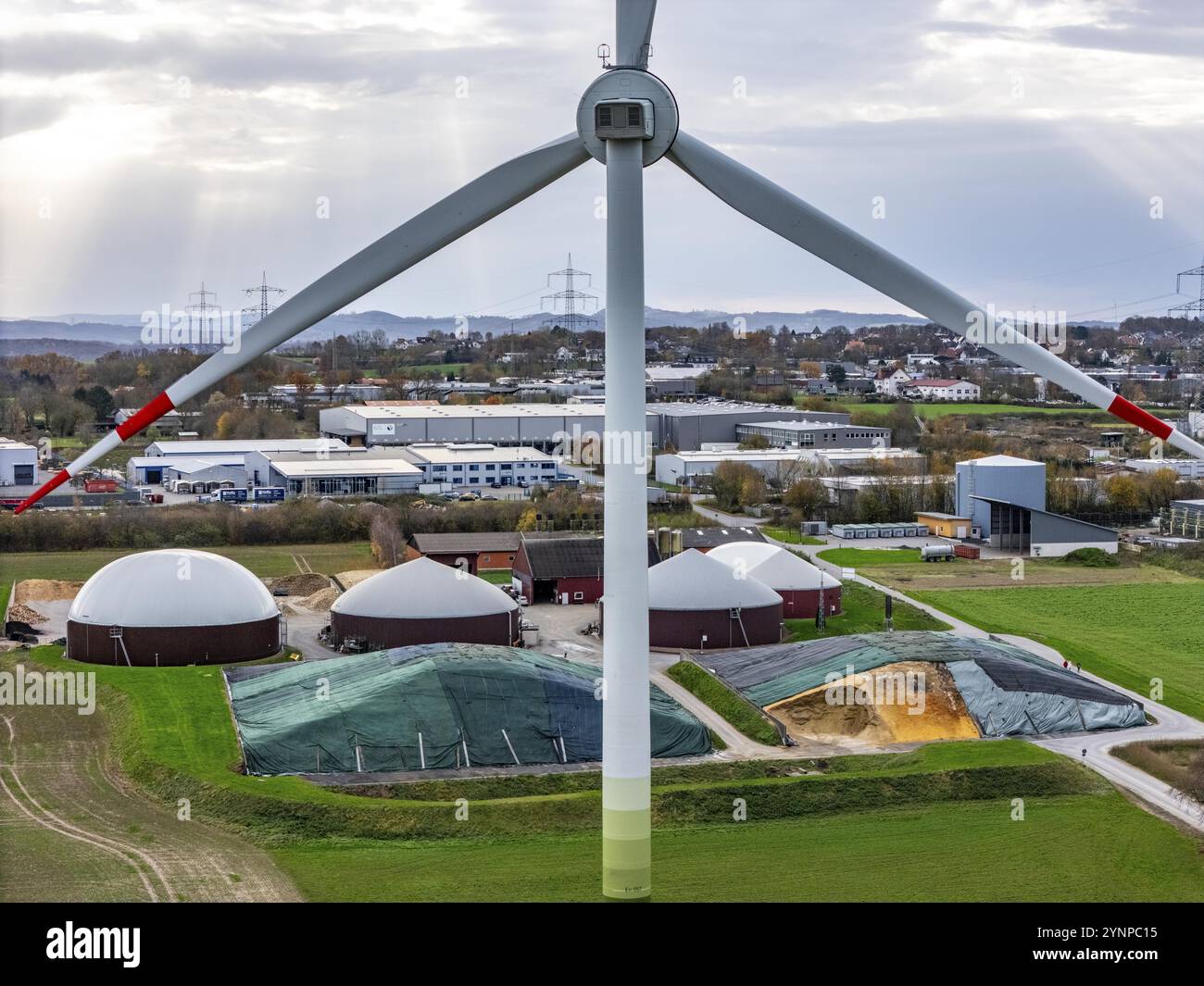 Biogas plant produces gas from various biomass, electricity is ...