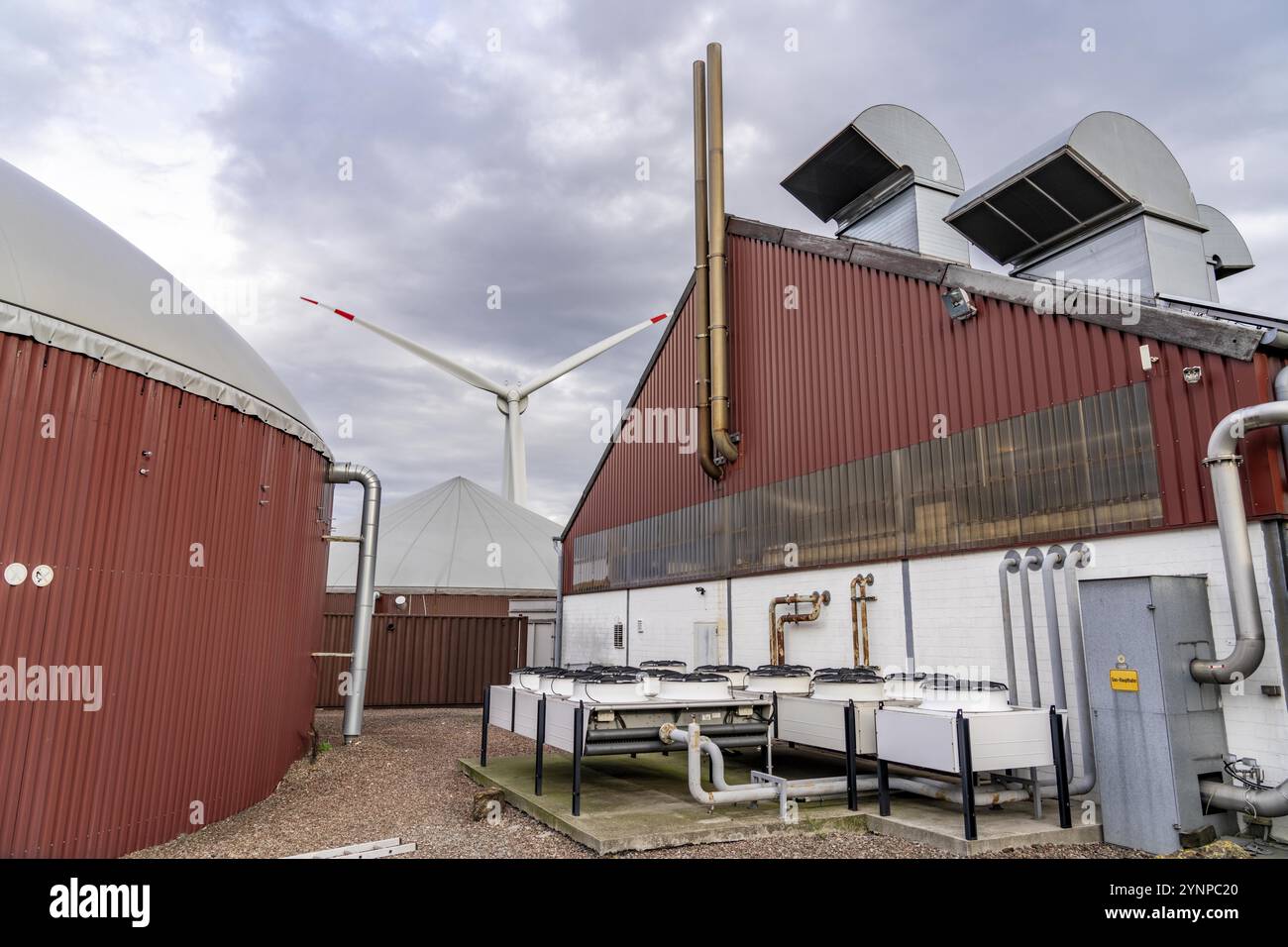 Biogas plant produces gas from various biomass, electricity is ...