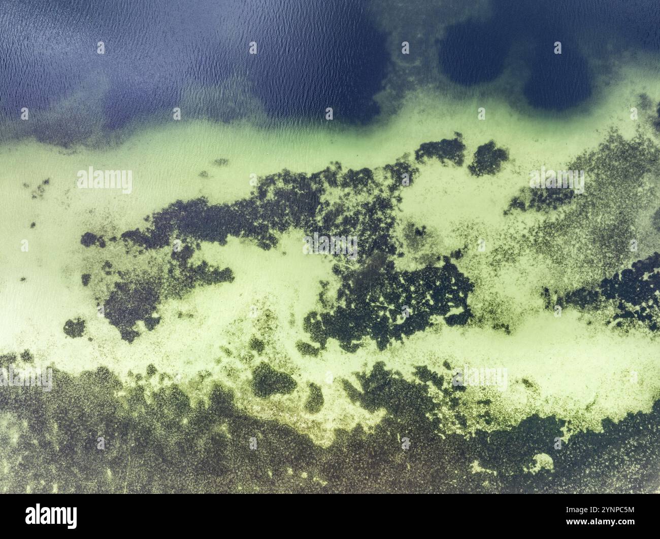 Aerial photograph, top-down view of an abruptly sloping shallow water ...