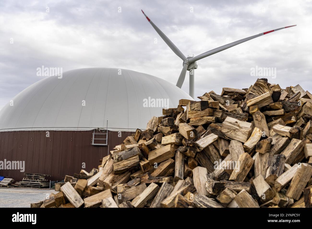 Biogas plant produces gas from various biomass, here the wood storage ...