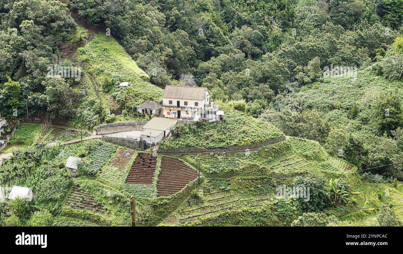 Levada do castelejo hi-res stock photography and images - Alamy