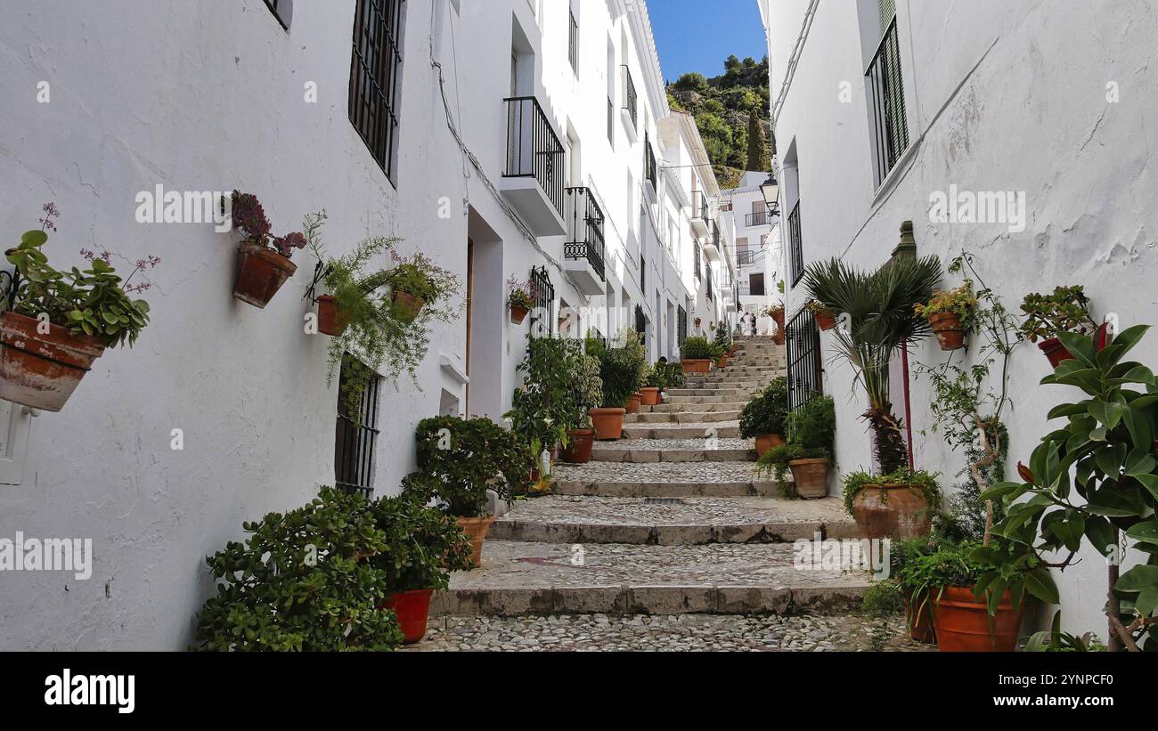 Flower-decorated alley in Frigiliana, Andalusia Stock Photo - Alamy