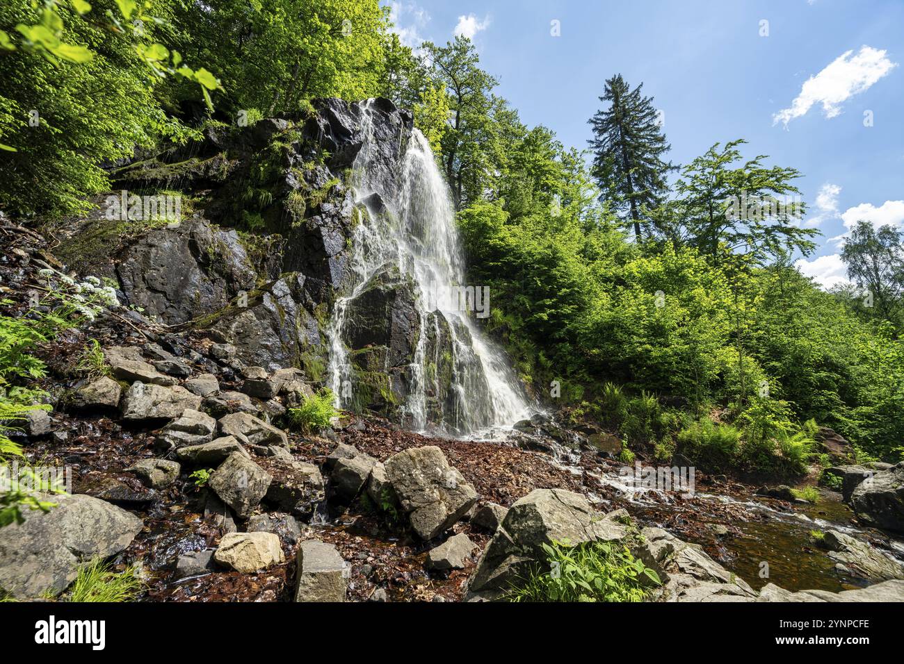 A view of the Radau waterfall in the Harz Mountains in Germany in ...