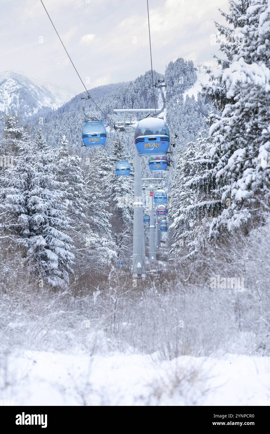 Panoramic view tops trees in hi-res stock photography and images - Alamy