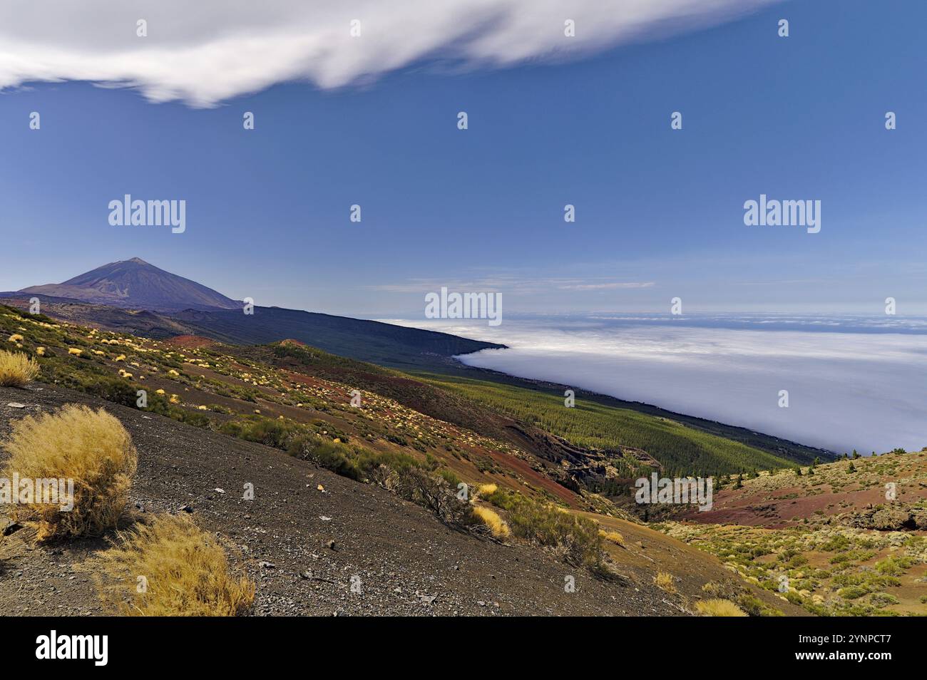 View on the Teide from a viewing spot along the road through the ...