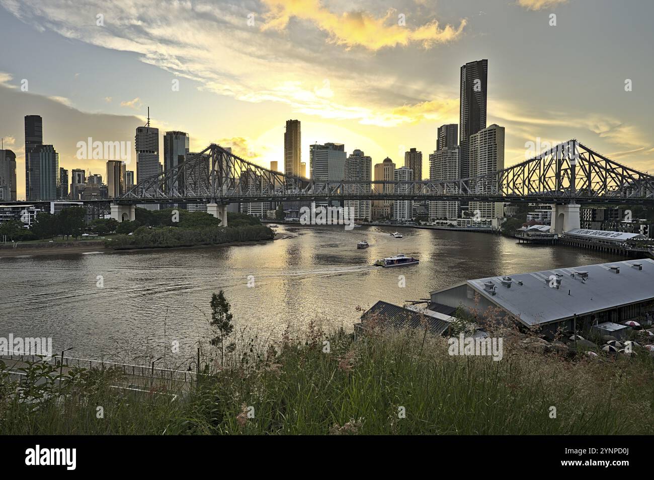 The skyline of Brisbane and the Story Bridge at nighttime Stock Photo ...