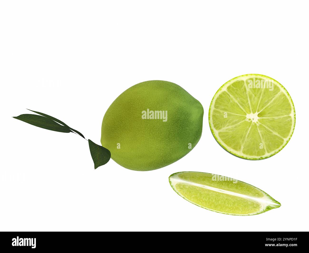 Illustration whole slice lemon Cut Out Stock Images & Pictures - Alamy
