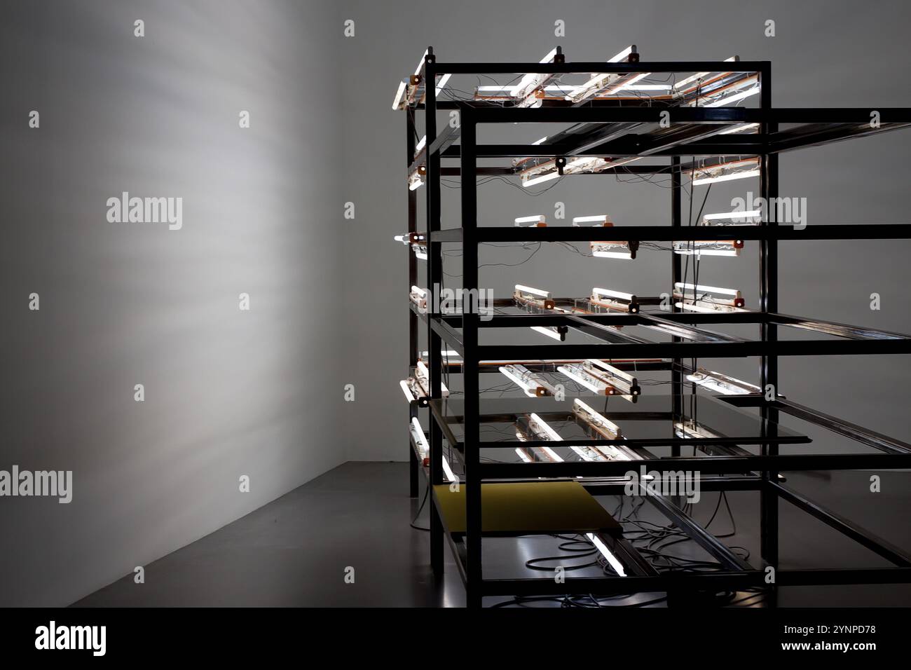 Neon light installation with cable connections on black at Tate Galley ...