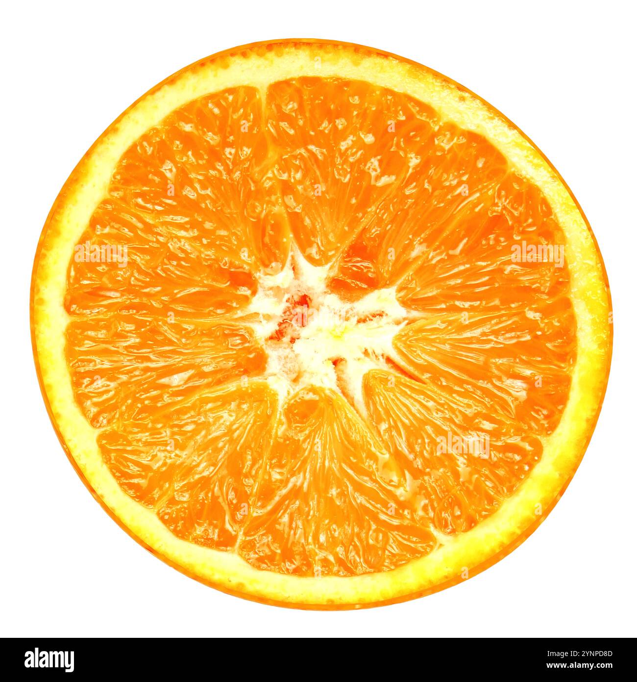 Vector 3d realistic orange Cut Out Stock Images & Pictures - Alamy