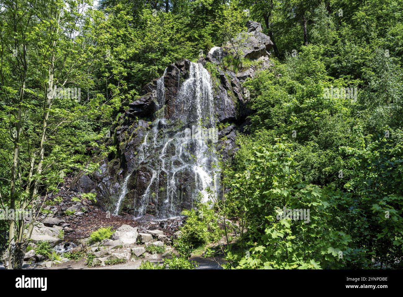A view of the Radau waterfall in the Harz Mountains in Germany in ...