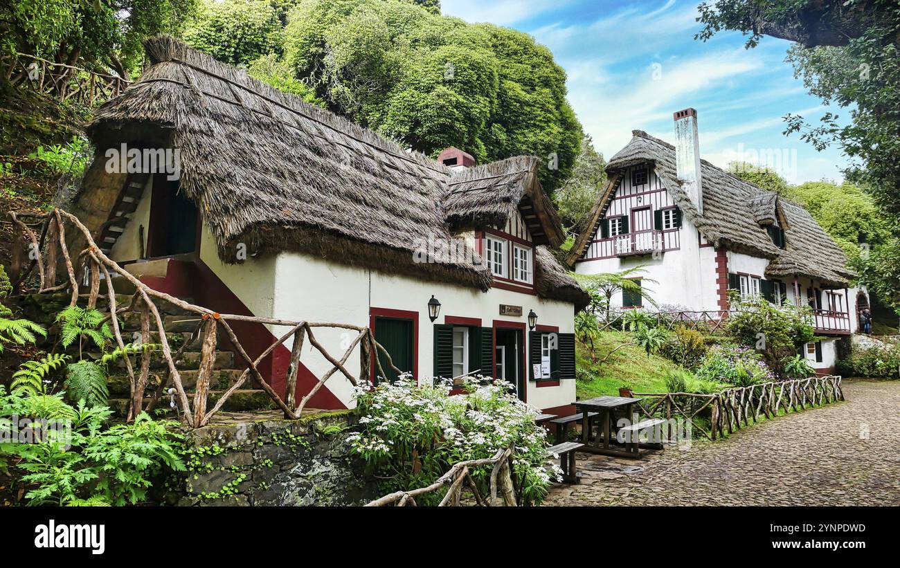 Traditional thatched houses in the Queimadas Rhododendron Park and the ...