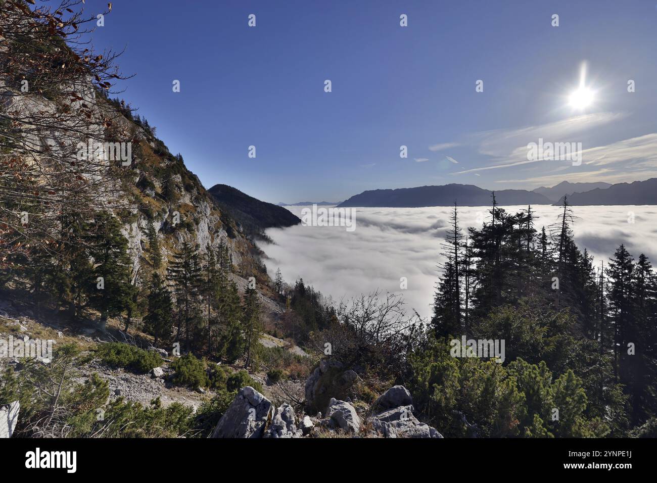 View from a sunny mountain flank to the autumnal sea of fog in the ...