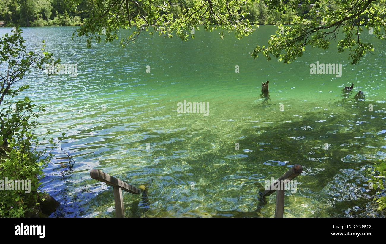 Emerald-green Lake Thumsee in Berchtesgaden National Park Stock Photo ...