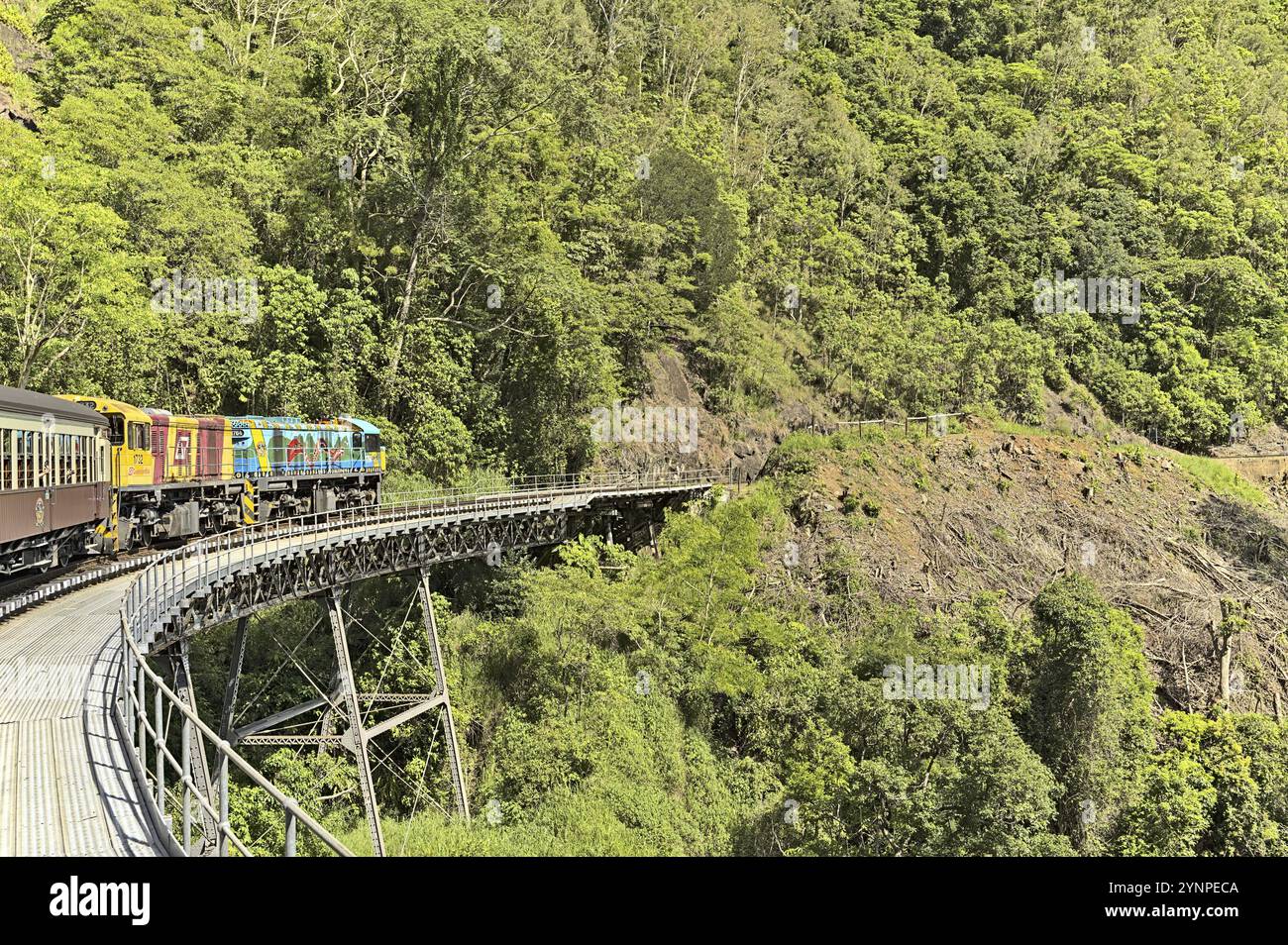 Kuranda scenic railway winding up the tracks from Freshwater Station to ...