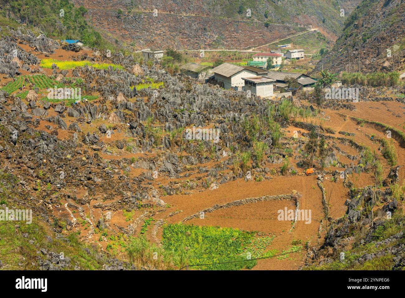 Spring and the peaceful life of the Hmong ethnic group in Ha Giang ...