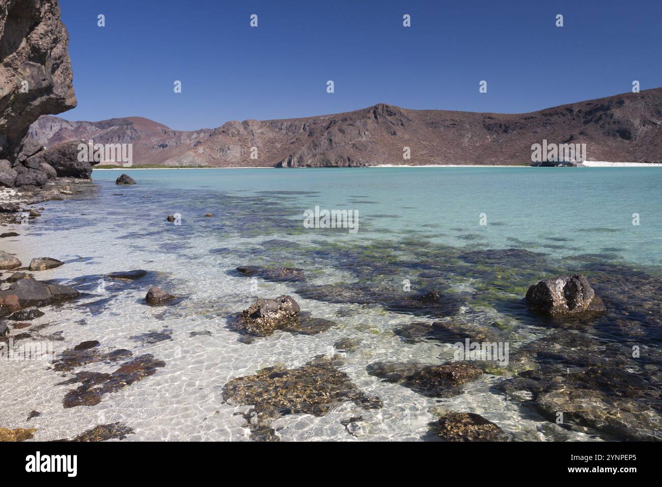 Balandra beach. La Paz, Baja California Sur. Mexico Stock Photo - Alamy