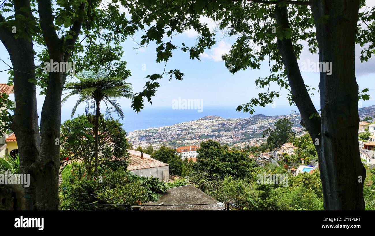 Panorama of Funchal from Monte, Madeira Stock Photo - Alamy