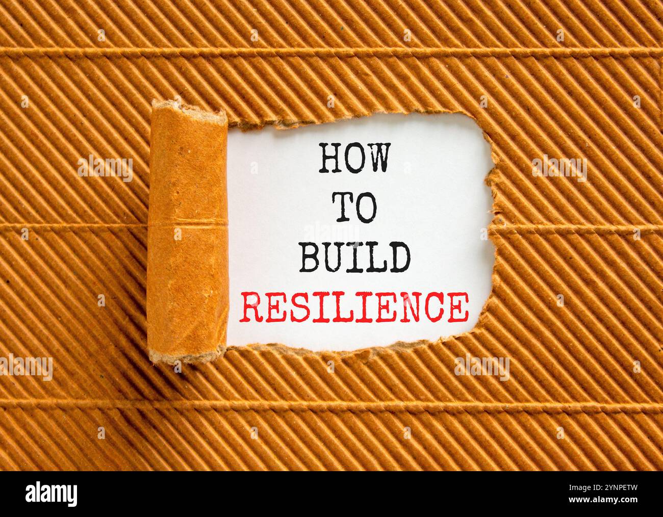 How to build resilience symbol. Concept words How to build resilience ...