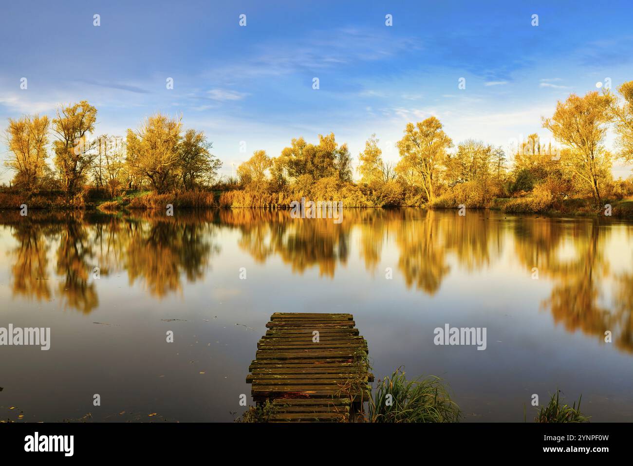 A view of a jetty in the lake at sunrise in the forest with fall colors ...