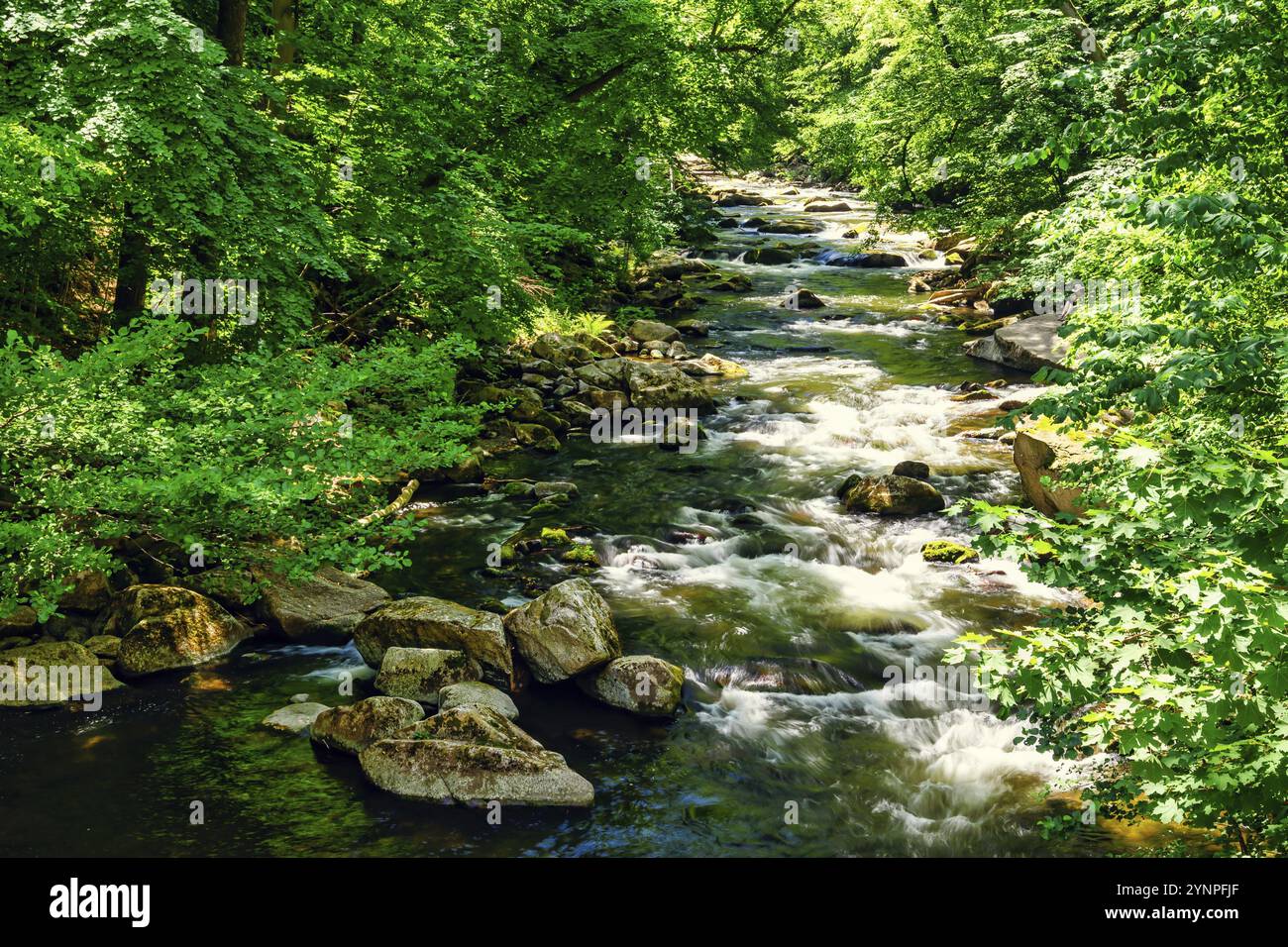 A view of the Bode riverbed in the Harz Mountains in glorious sunshine ...