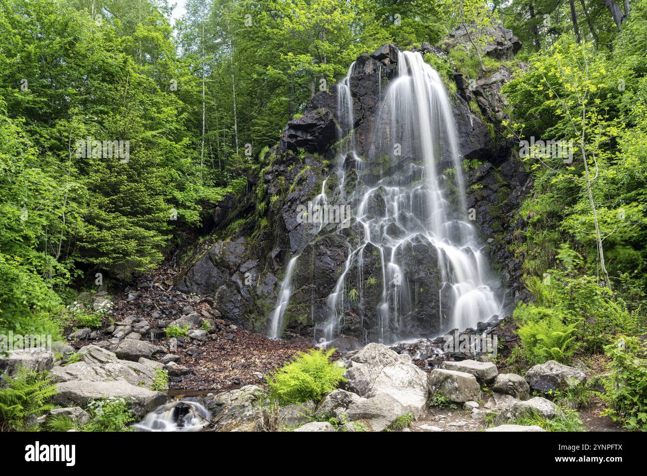 A view of the Radau waterfall in the Harz Mountains in Germany in ...