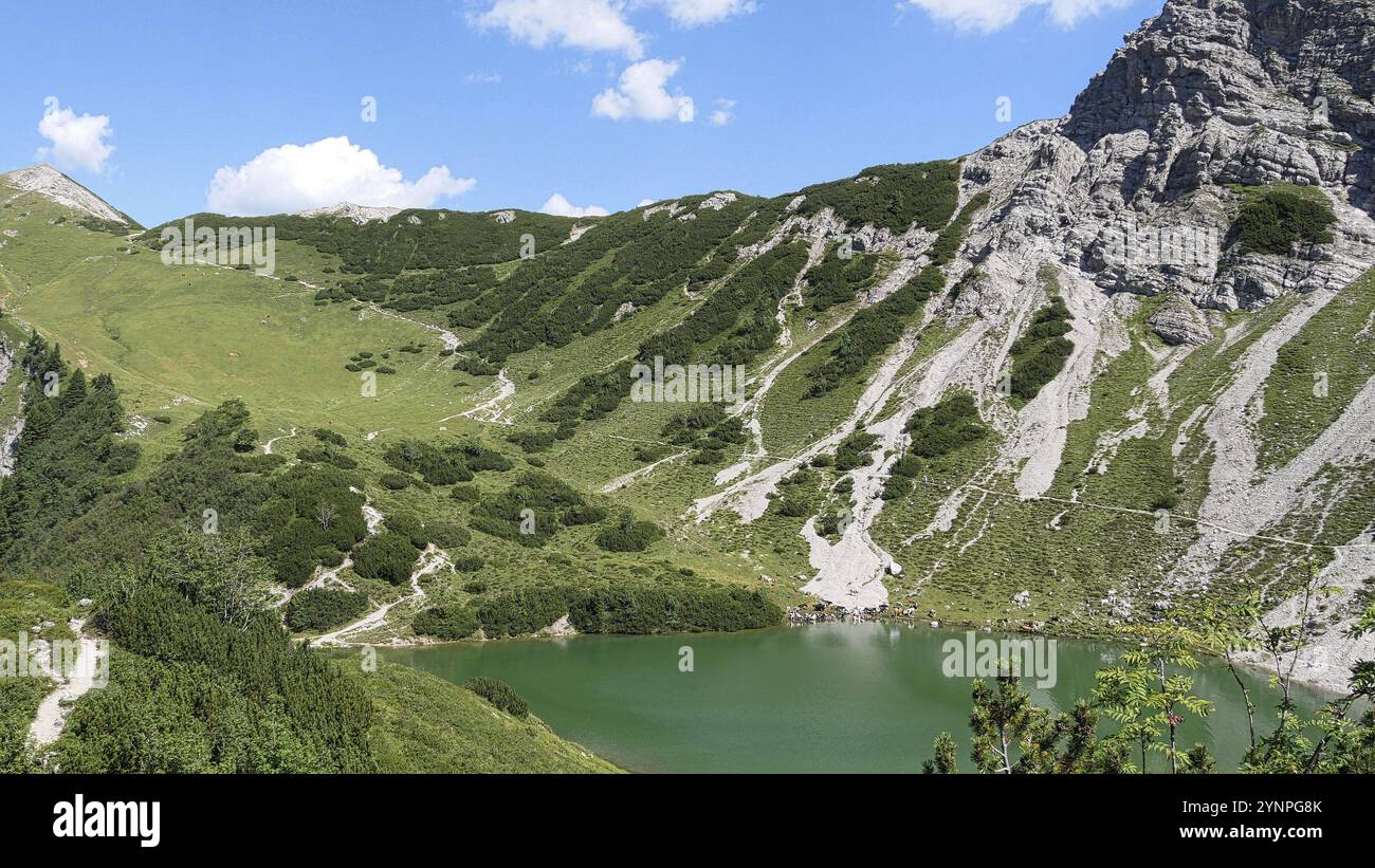 On the Saalfelder Hoehenweg in the Tannheimer Tal with a view of the ...
