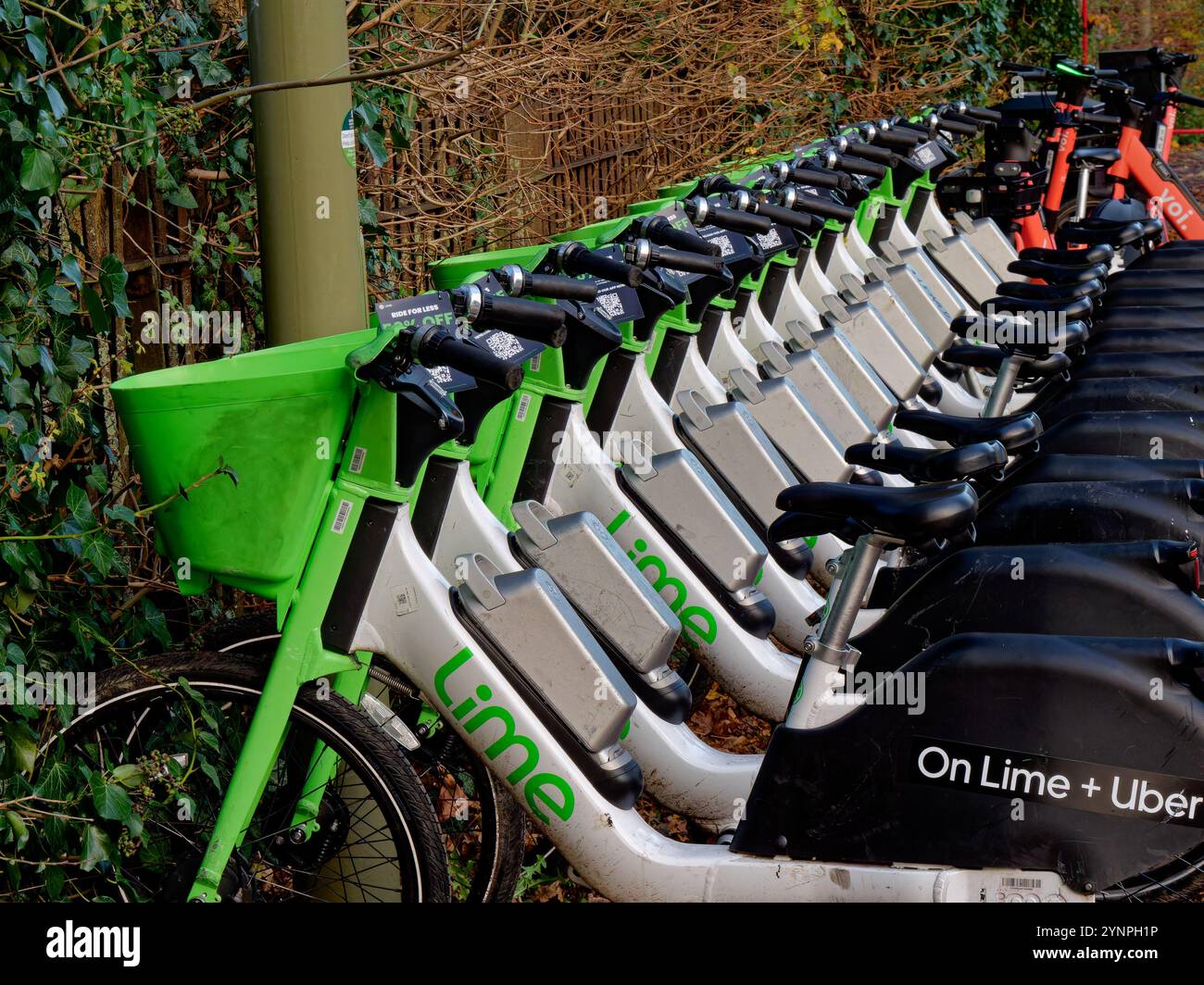 Row of Lime electric bicycles parked, showcasing modern urban ...