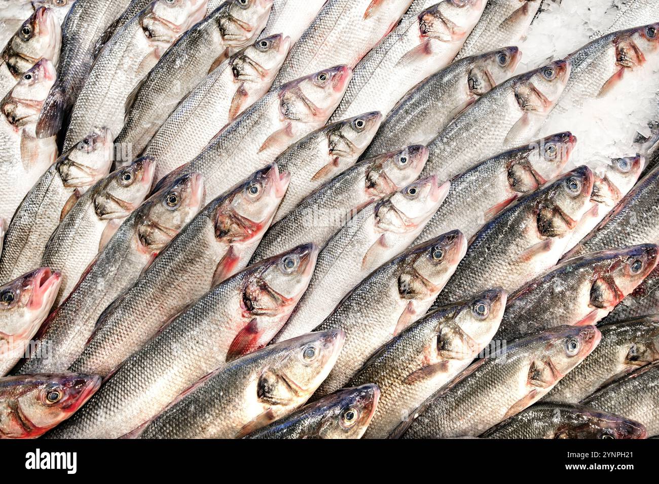 whole fresh chilled raw fish on ice at supermarket Stock Photo - Alamy