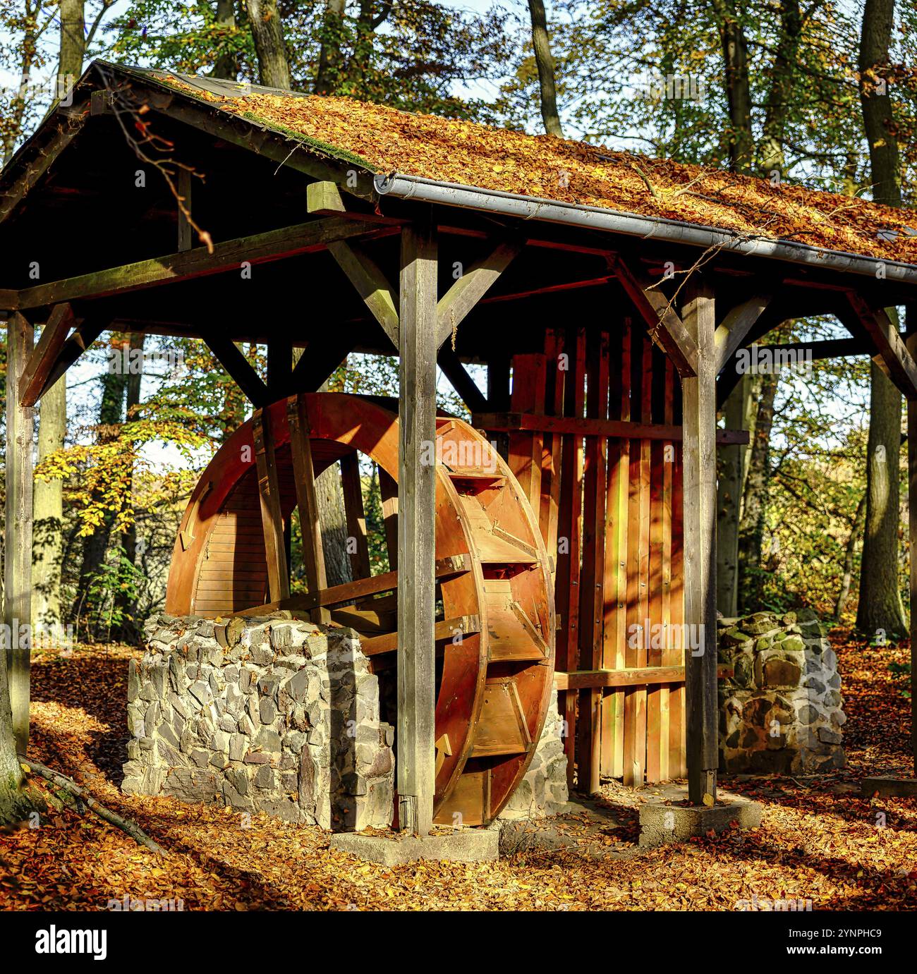 A view of a watermill in the forest with fall colors Stock Photo - Alamy