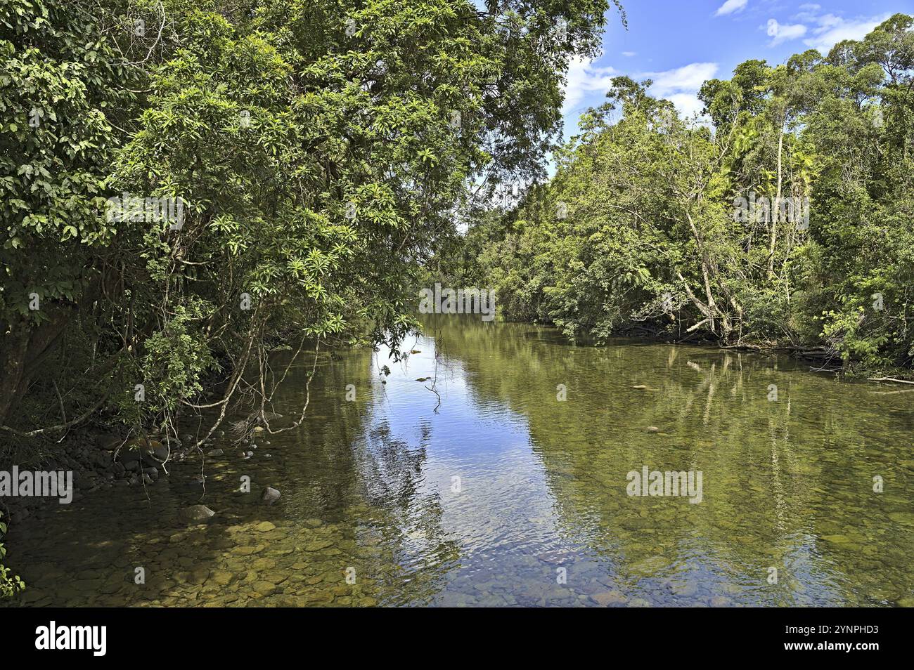 View from a bridge at Bloomfield River in the Daintree rainforest at ...