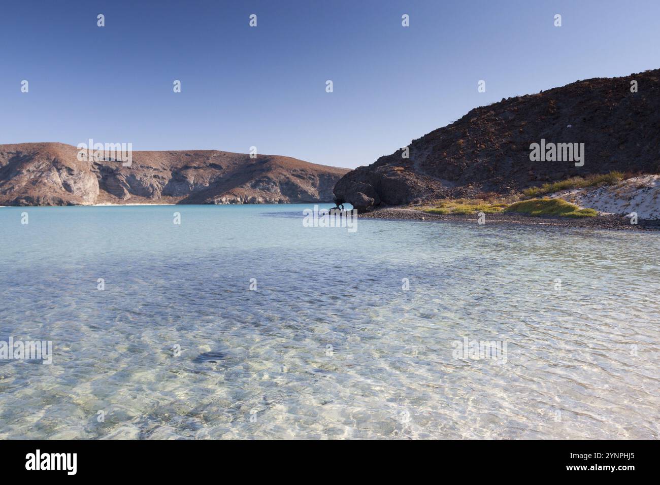 Balandra beach. La Paz, Baja California Sur. Mexico Stock Photo - Alamy