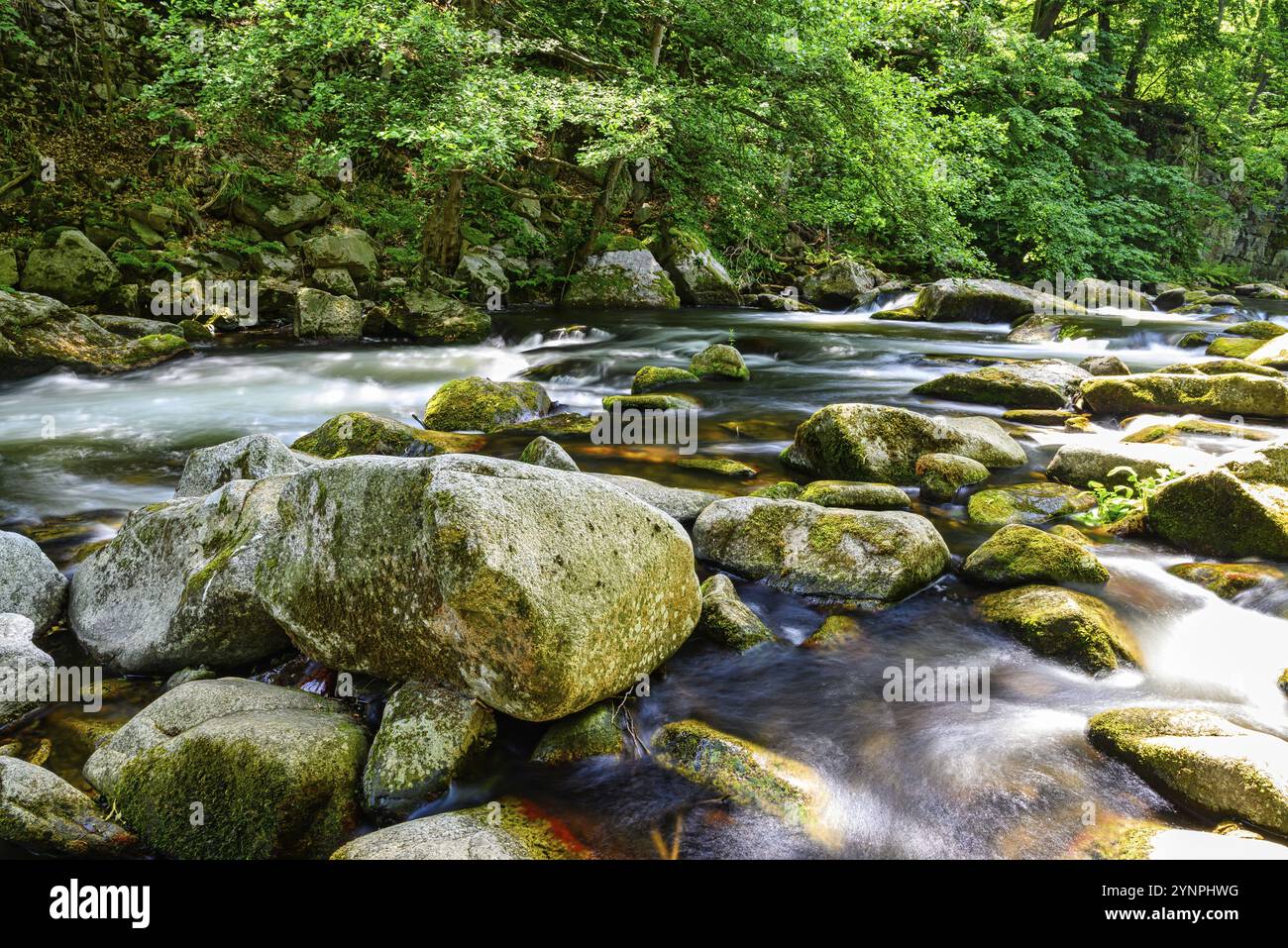A view of the Bode riverbed in the Harz Mountains in glorious sunshine ...