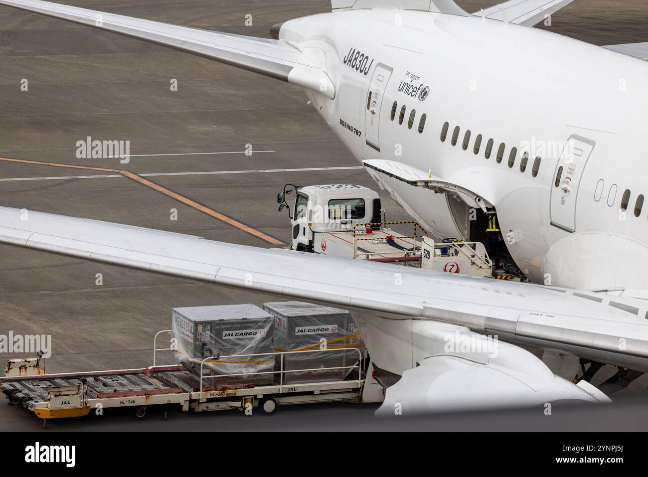 Cargo loading operation on a passenger aircraft at the airport Stock ...