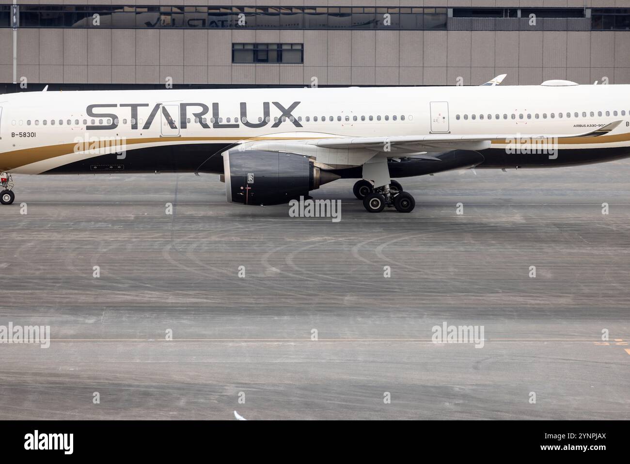 Starlux Airlines airplane on the tarmac at the airport Stock Photo - Alamy