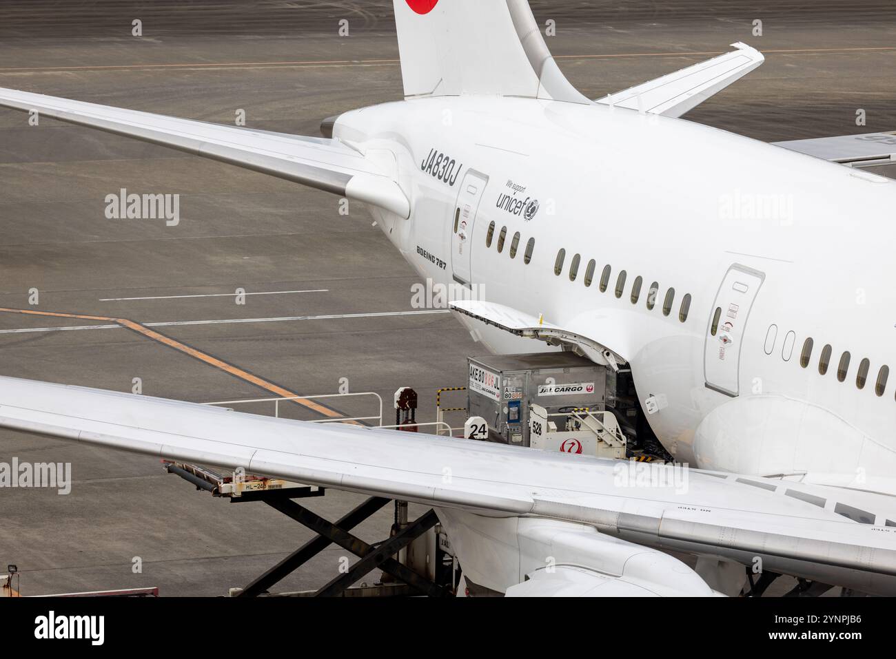 Airplane cargo hold being loaded with freight at the airport Stock ...