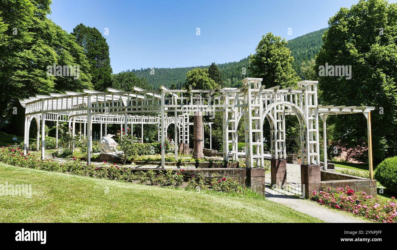 Rosarium in the spa gardens of Bad Wildbad, Baden-Wuerttemberg Stock ...