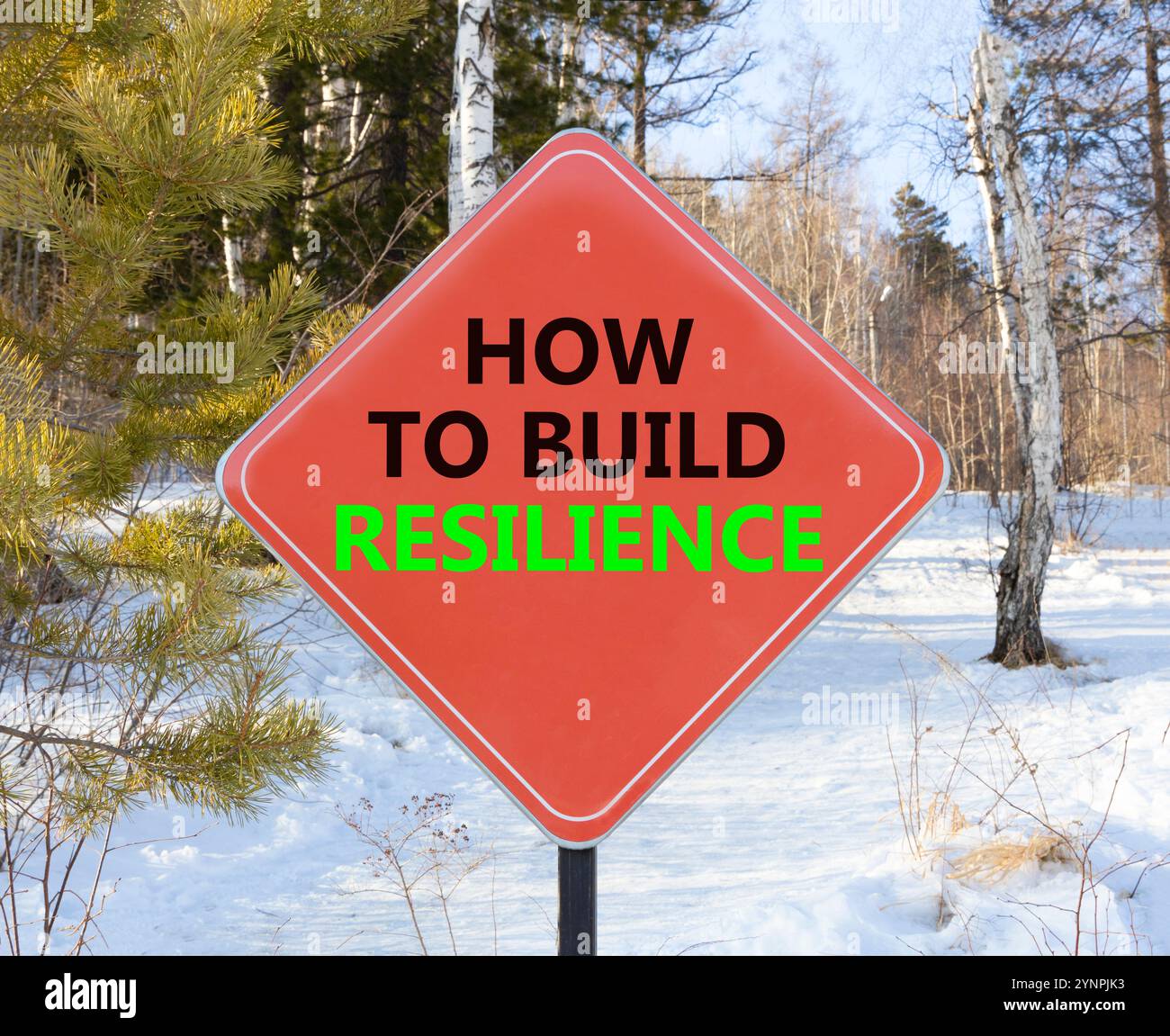 How to build resilience symbol. Concept words How to build resilience ...